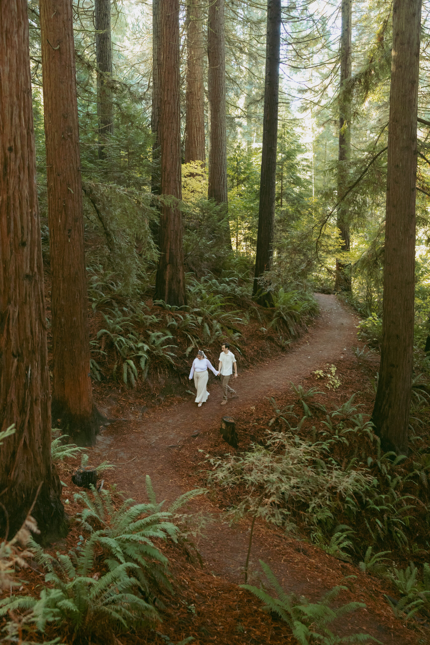Romance In The Redwoods | Engagement Session in Portland, OR